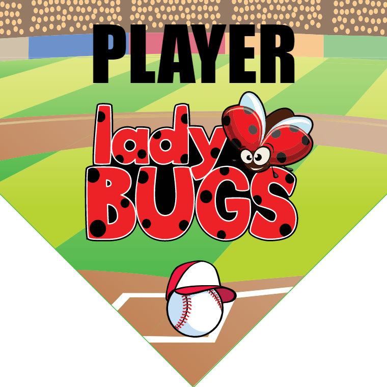 Lady Bugs - Home Plate Softball Pennant – Team Sport Banners