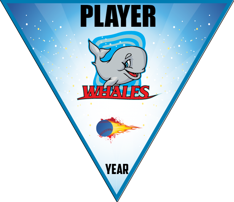 Whales - Triangle Softball Pennant – Team Sport Banners