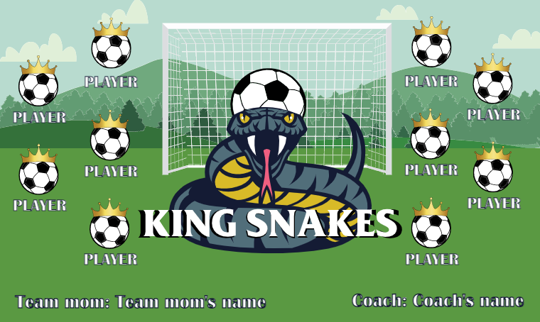 King Snakes - Soccer Banner – Team Sport Banners