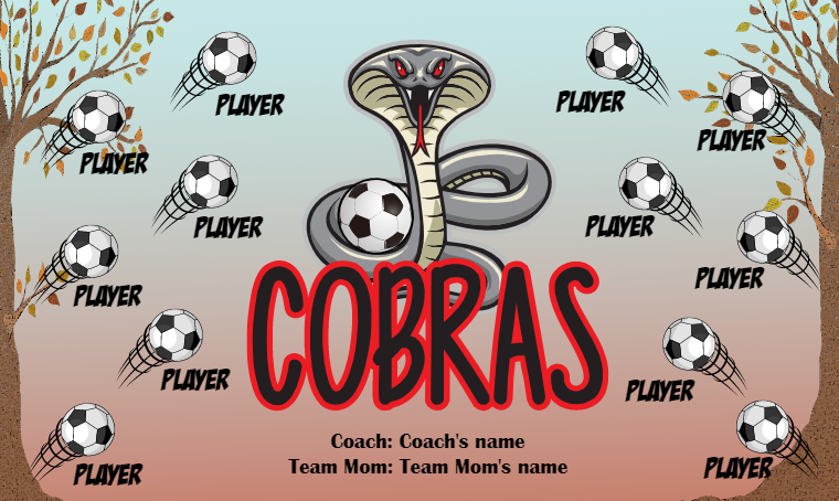 Cobras - Soccer Banner – Team Sport Banners