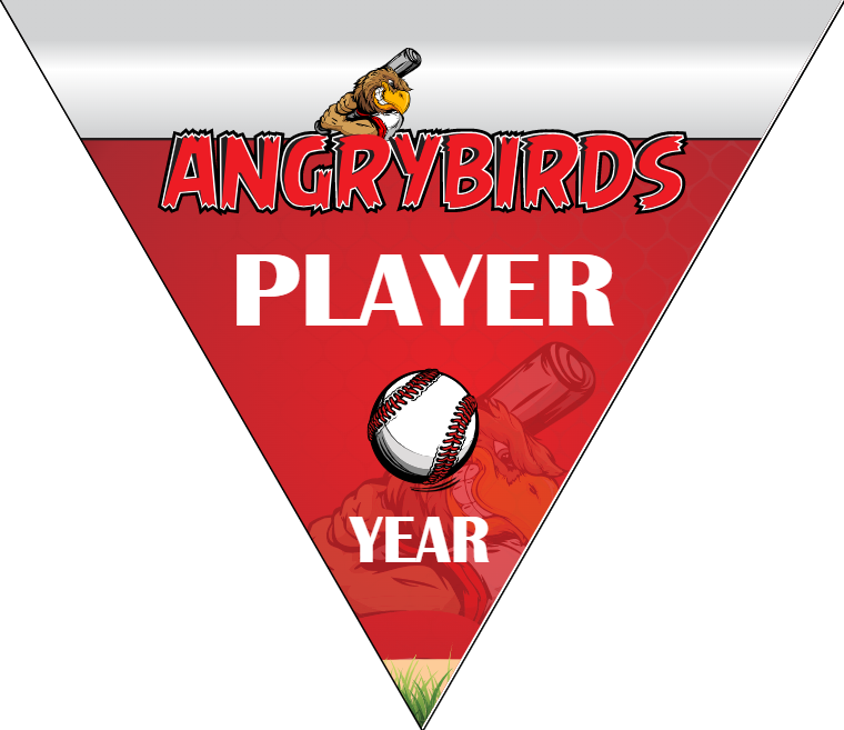 Angrybirds - Triangle Baseball Banners – Team Sport Banners