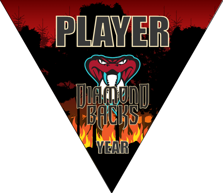 Arizona Diamondbacks 4- Triangle Baseball Banners – Team Sport Banners