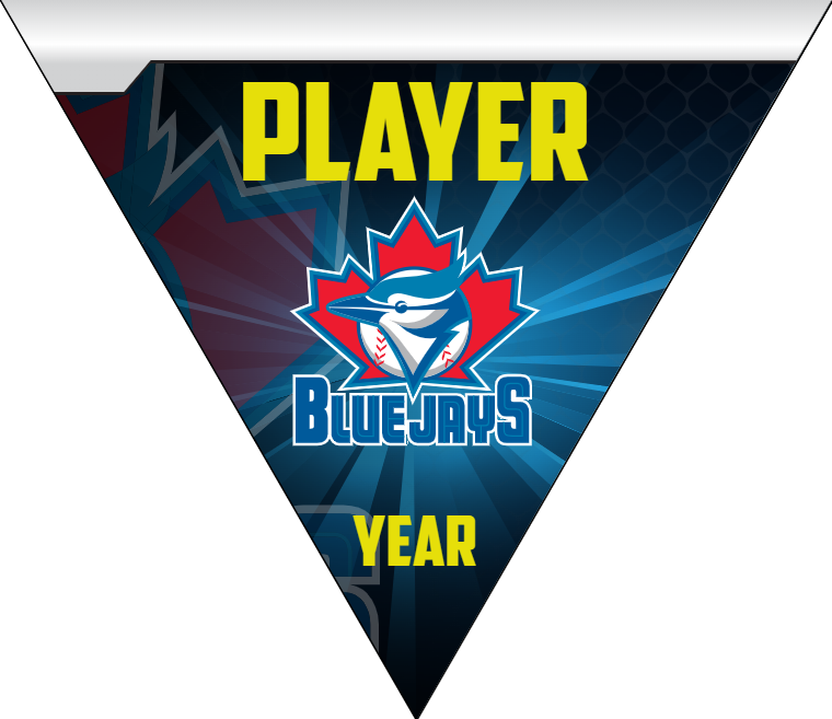 Toronto Blue Jays - Triangle Baseball Banners – Team Sport Banners