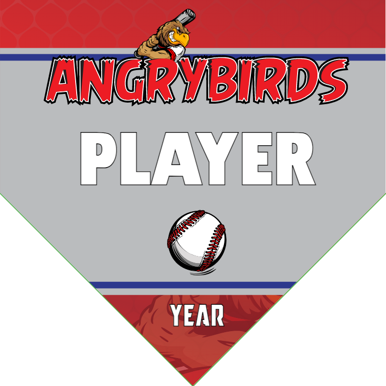 Angrybirds 2 - Home Baseball Banners – Team Sport Banners