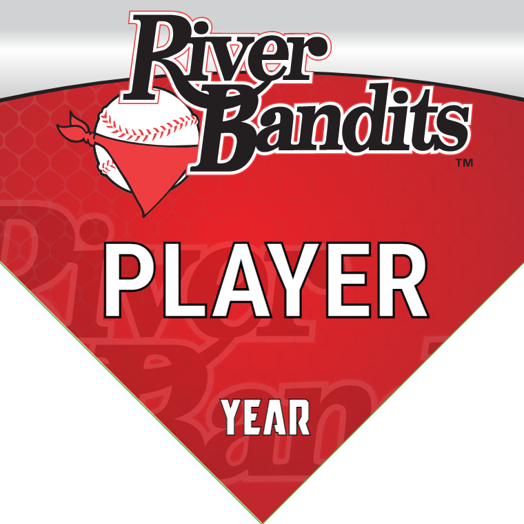 River Bandits - Home Baseball Banners – Team Sport Banners