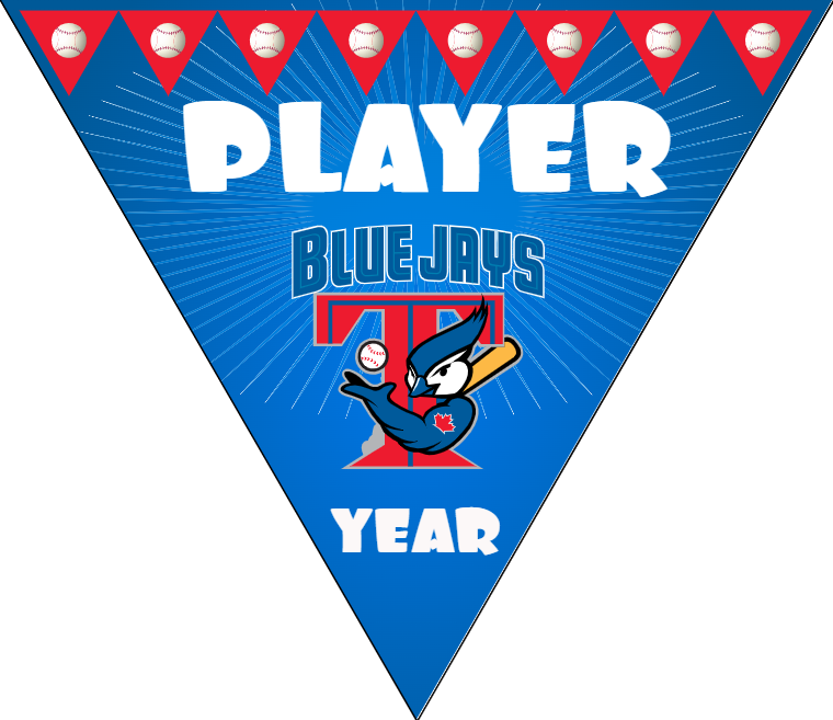 Toronto Blue Jays 3 - Triangle Baseball Banners – Team Sport Banners