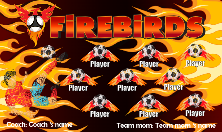 Fire Birds - Soccer Banner – Team Sport Banners
