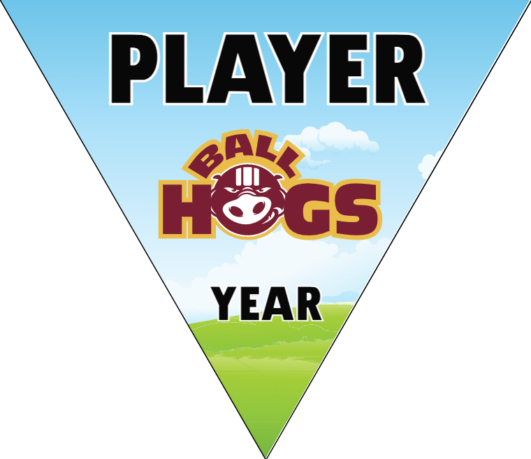 Ball Hogs - Triangle Soccer Banners – Team Sport Banners
