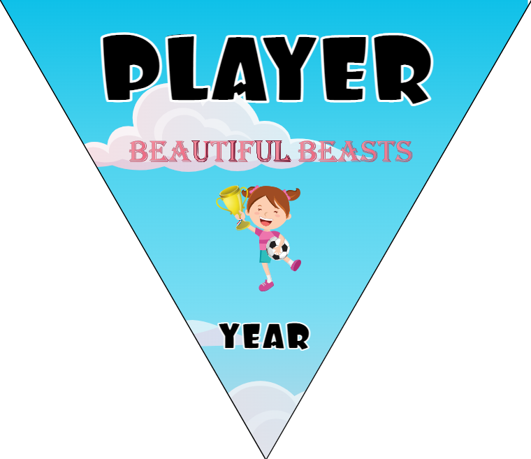 Beautiful Beasts 4 - Triangle Soccer Banners – Team Sport Banners