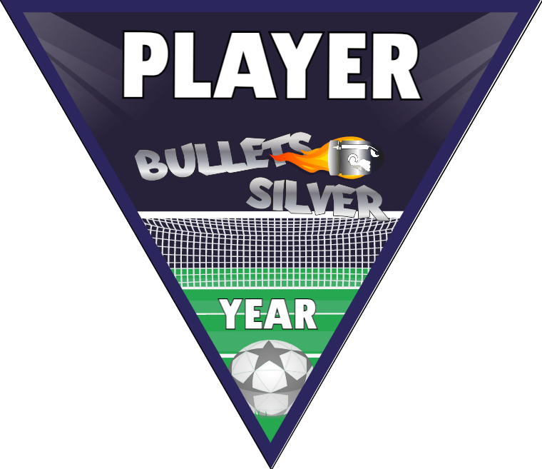 Bullets Silver - Triangle Soccer Banners – Team Sport Banners