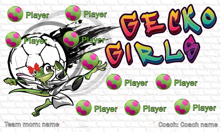 Gecko Girls - Soccer Banner – Team Sport Banners