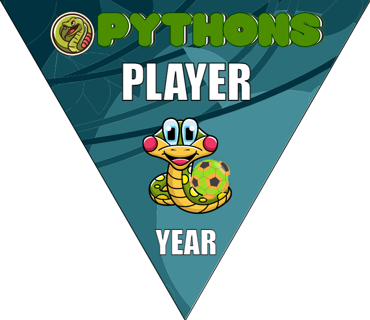 Pythons - Triangle Soccer Banners – Team Sport Banners