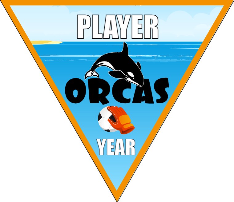 Orcas - Triangle Soccer Banners – Team Sport Banners