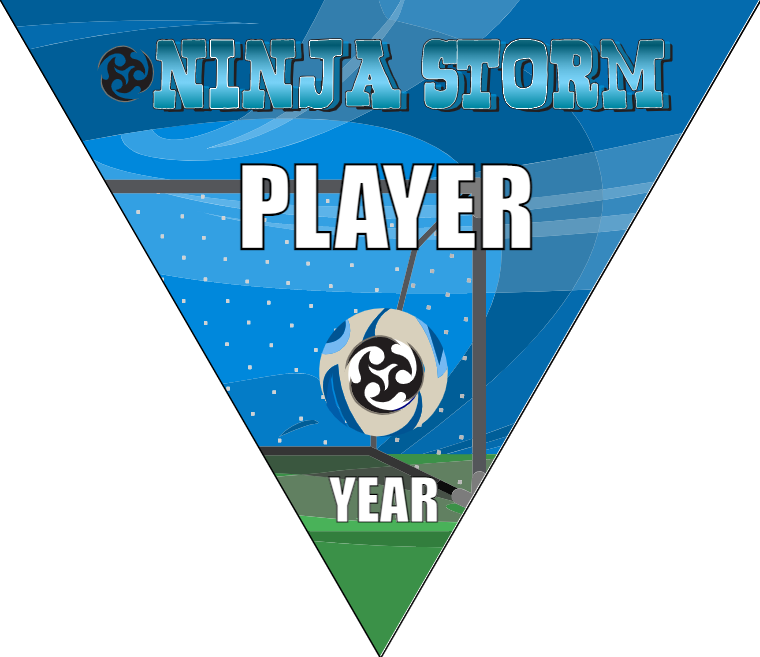Ninja Storm 2 - Triangle Soccer Banners – Team Sport Banners