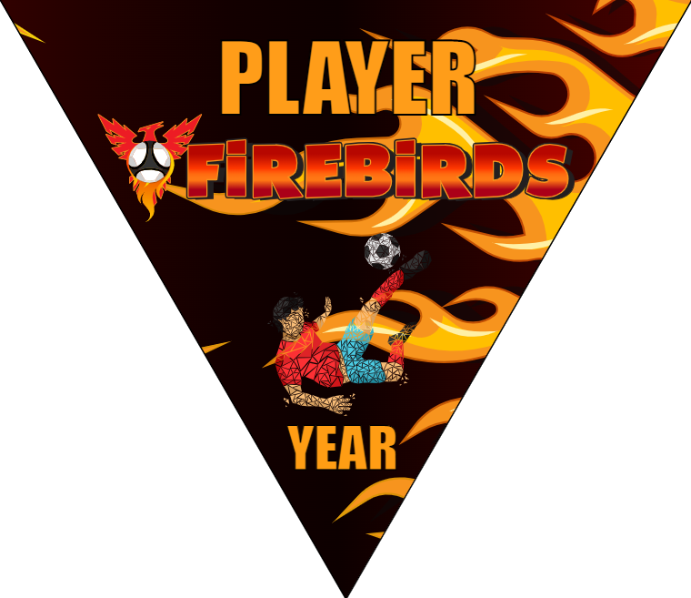 Firebirds - Triangle Soccer Banners – Team Sport Banners
