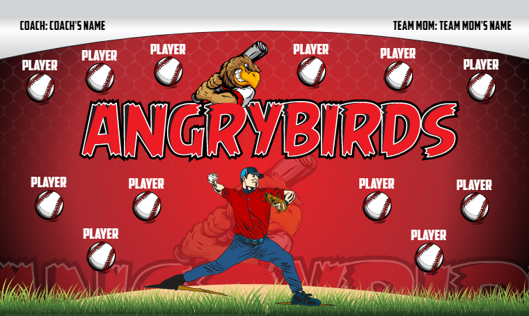 Angry Birds 2 - Baseball Banner – Team Sport Banners