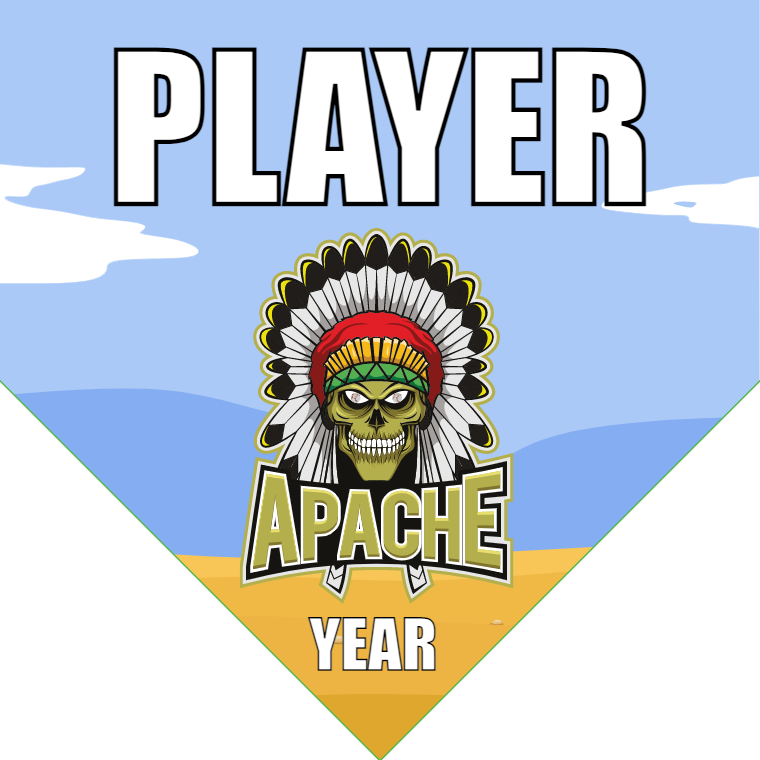 Apache - Home Plate Softball Pennant – Team Sport Banners