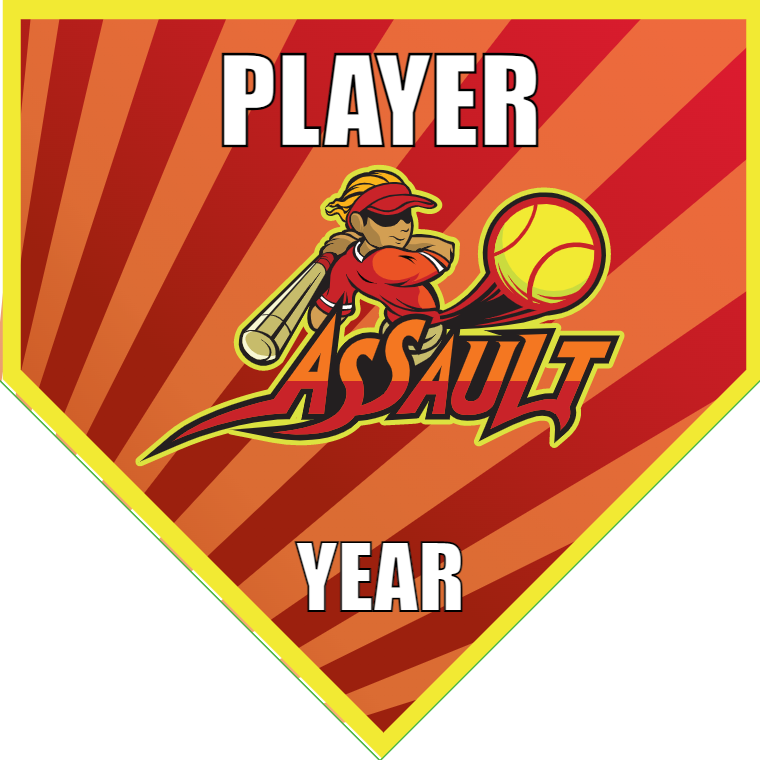 Assault - Home Plate Softball Pennant – Team Sport Banners