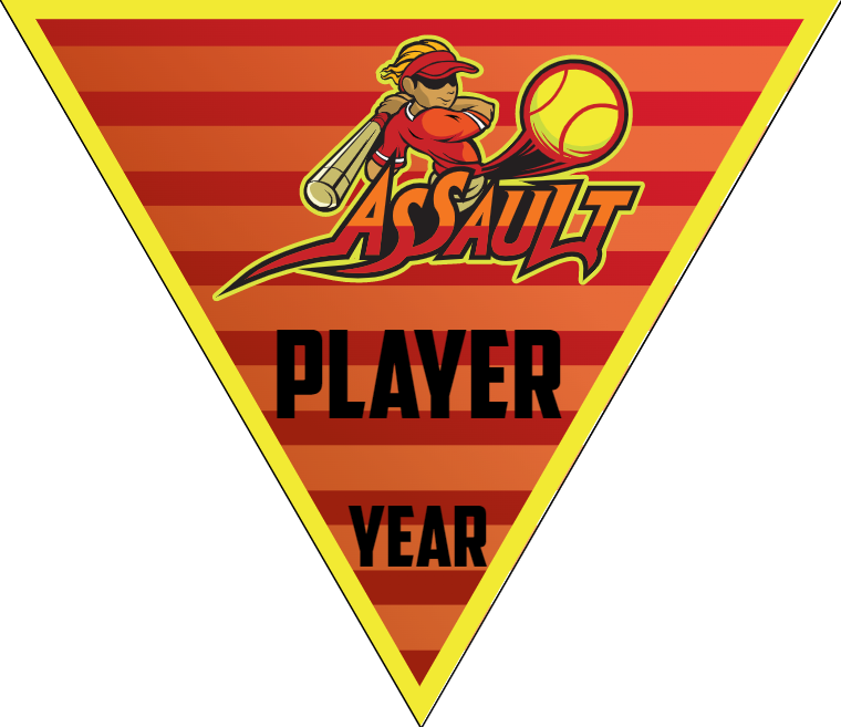 Assault - Triangle Softball Pennant – Team Sport Banners
