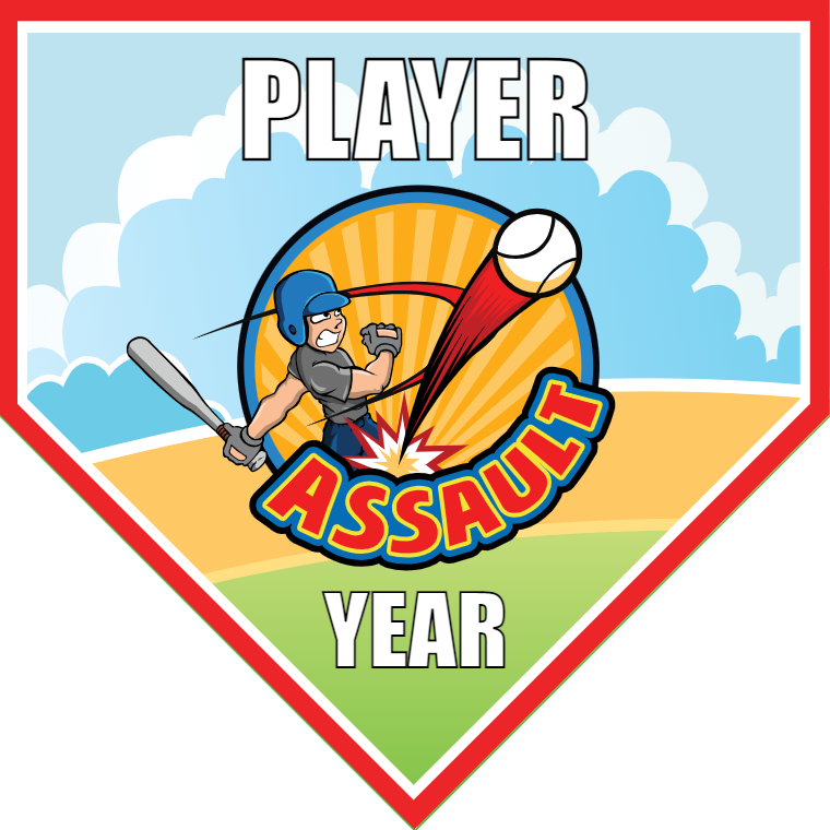 Assault 2 - Home Plate Softball Pennant – Team Sport Banners