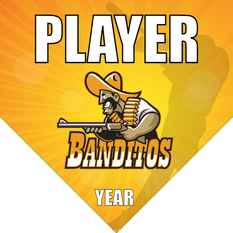 Banditos - Home Plate Softball Pennant – Team Sport Banners