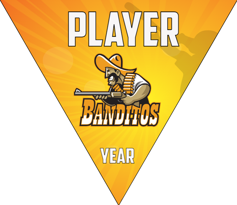 Banditos - Triangle Softball Pennant – Team Sport Banners