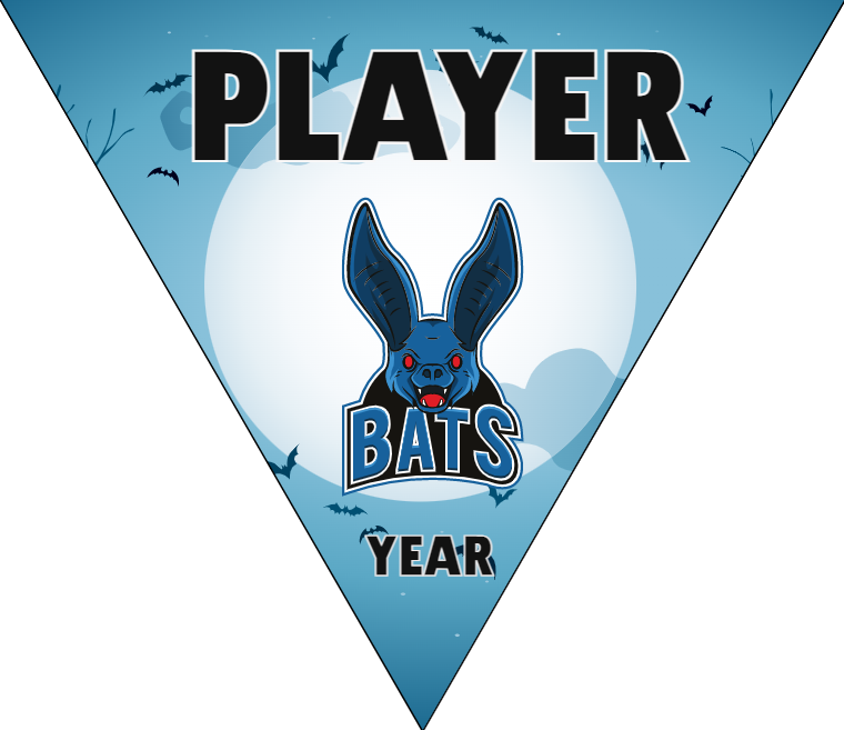 Bats 2 - Triangle Softball Pennant – Team Sport Banners