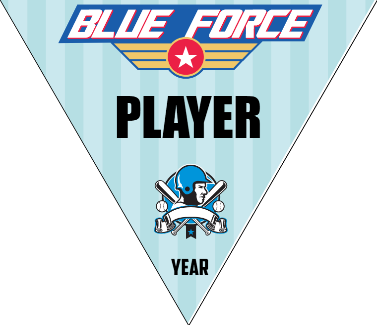 Blue Force - Triangle Softball Pennant – Team Sport Banners