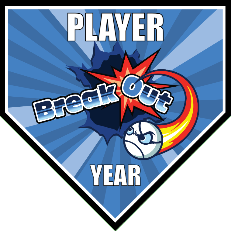Break Out - Home Plate Softball Pennant – Team Sport Banners