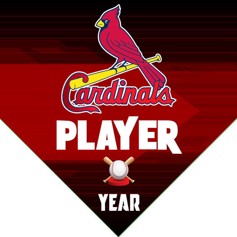 St. Louis Cardinals 2 - Home Baseball Banners – Team Sport Banners