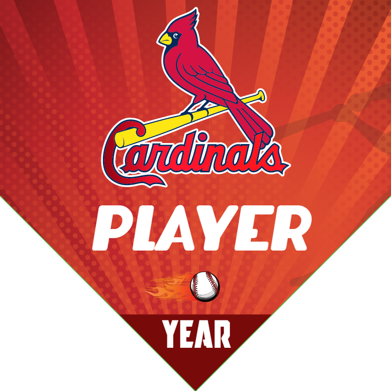 St. Louis Cardinals 3 - Home Baseball Banners – Team Sport Banners