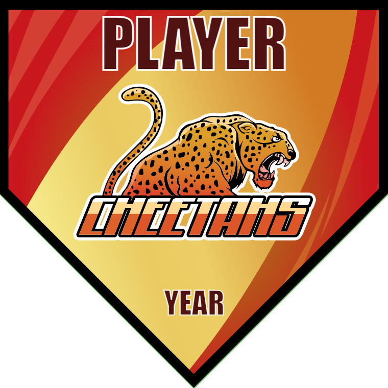 Cheetahs - Home Plate Softball Pennant – Team Sport Banners