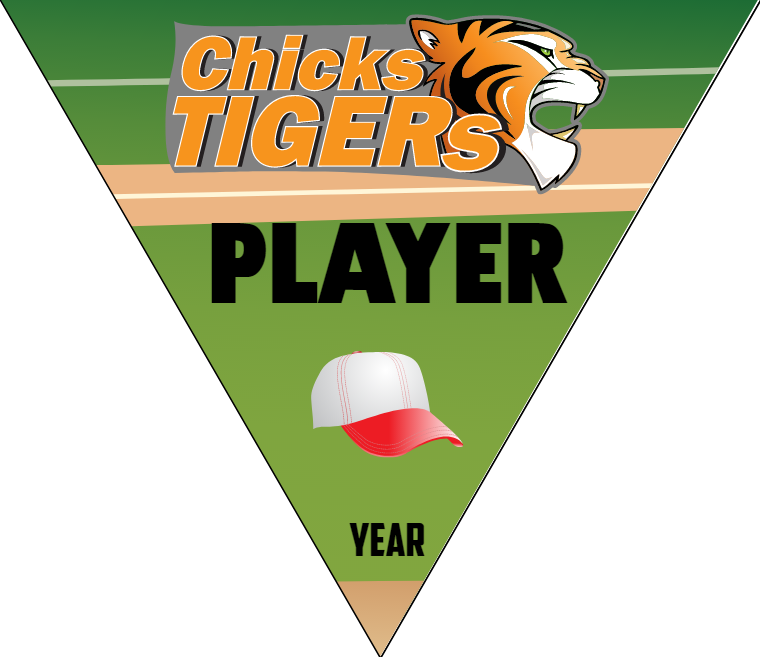 Chicks Tigers - Triangle Softball Pennant – Team Sport Banners