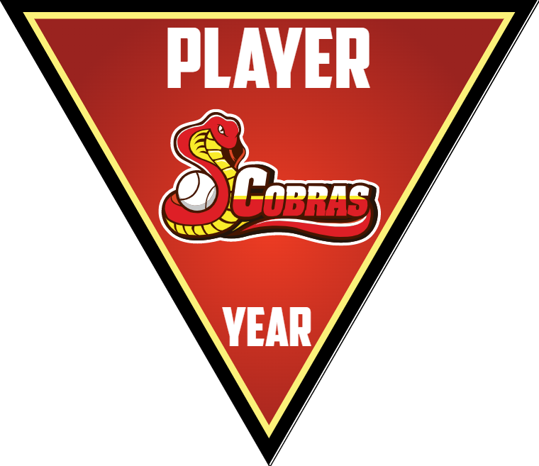 Cobras 2 - Triangle Softball Pennant – Team Sport Banners