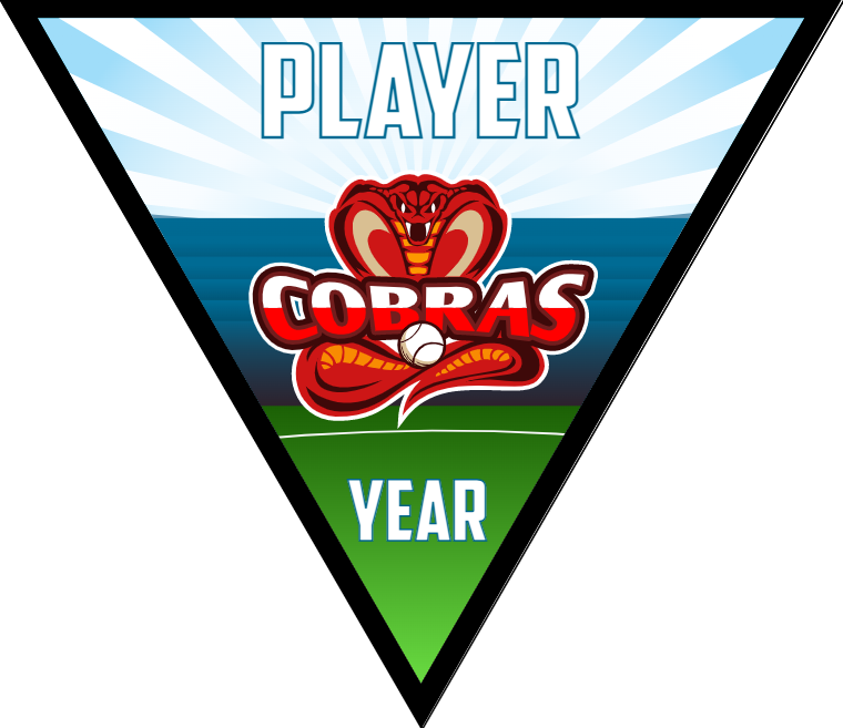 Cobras 3 - Triangle Softball Pennant – Team Sport Banners