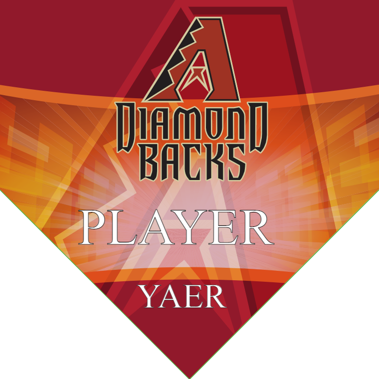 Arizona Diamondbacks 7 - Home Baseball Banners – Team Sport Banners