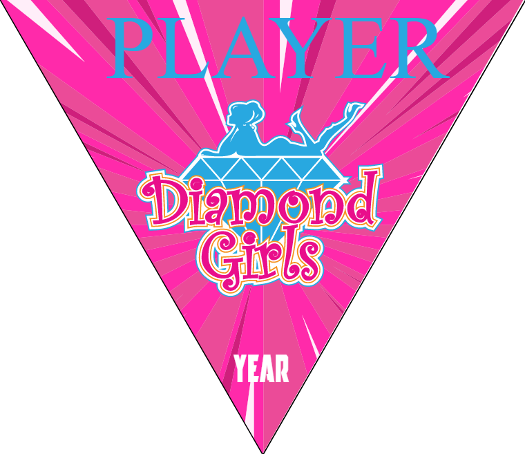 Diamond Girls 2 - Triangle Softball Pennant – Team Sport Banners
