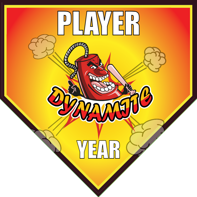 Dynamite - Home Plate Softball Pennant – Team Sport Banners