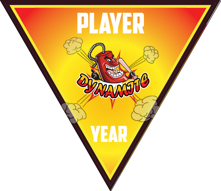 Dynamite - Triangle Softball Pennant – Team Sport Banners