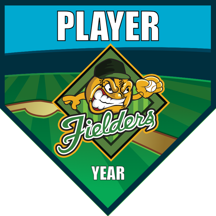 Fielders - Home Plate Softball Pennant – Team Sport Banners