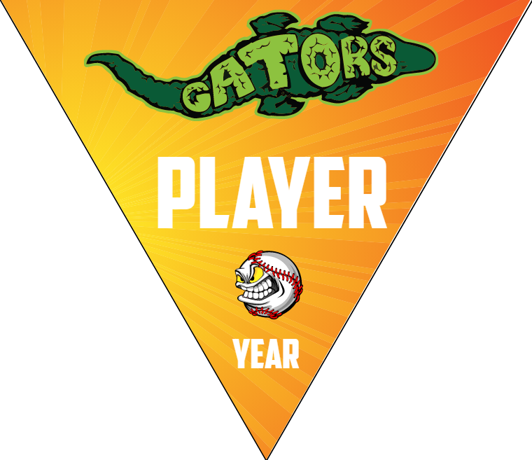 Gators - Triangle Softball Pennant – Team Sport Banners