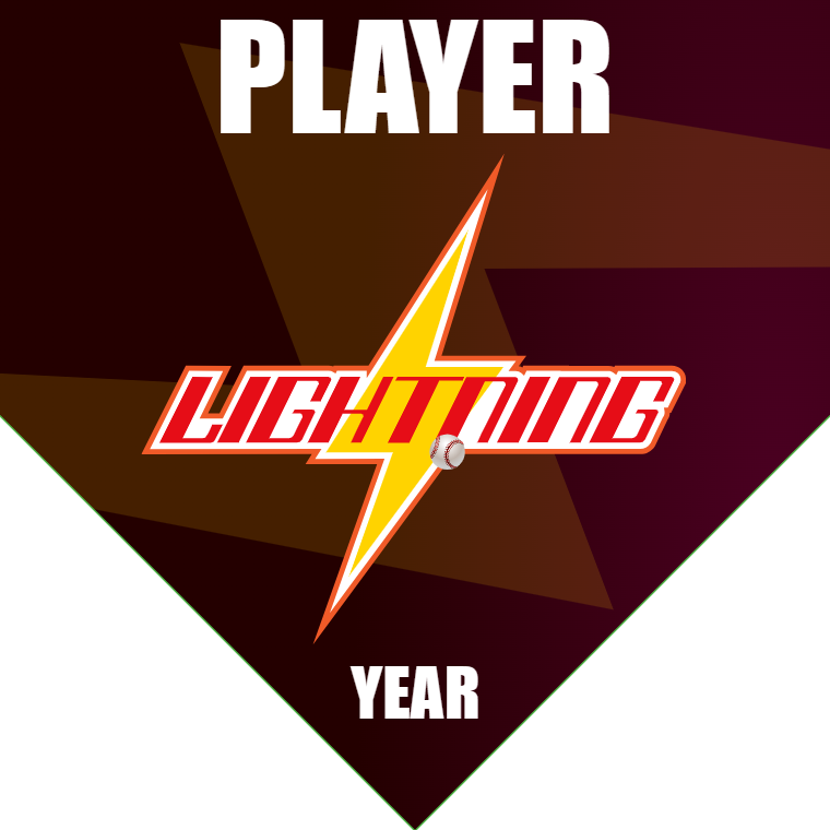 Lightning 2 - Home Plate Softball Pennant – Team Sport Banners