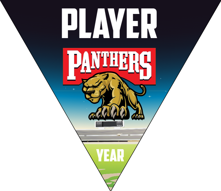 Panthers 2 - Triangle Softball Pennant – Team Sport Banners
