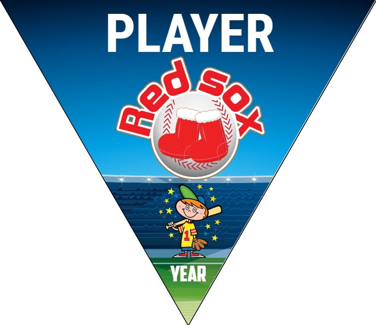 Red Sox 2 - Triangle Softball Pennant – Team Sport Banners