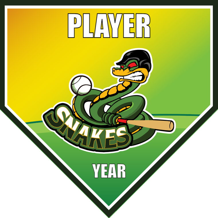 Snakes - Home Plate Softball Pennant – Team Sport Banners