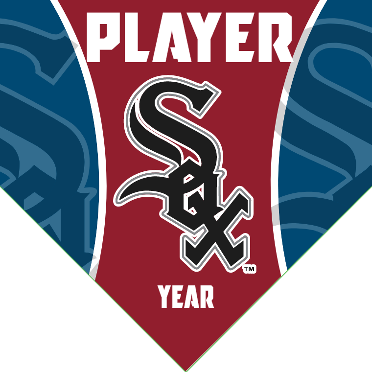 Chicago White Sox - Home Baseball Banners – Team Sport Banners