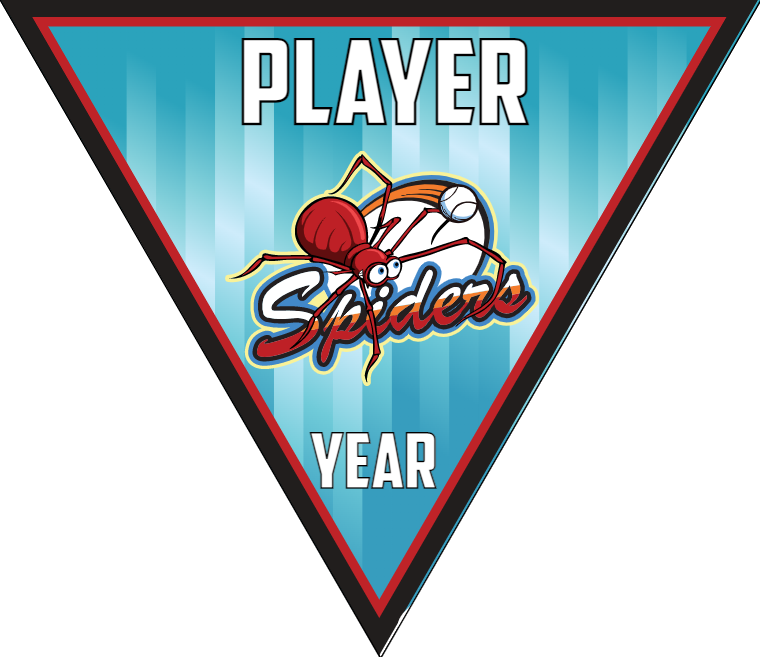Spiders - Triangle Softball Pennant – Team Sport Banners