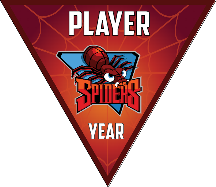 Spiders 2 - Triangle Softball Pennant – Team Sport Banners