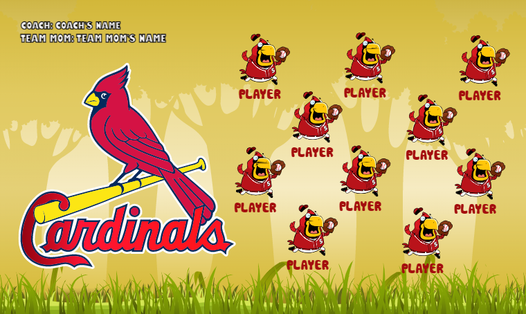 St. Louis Cardinals 6 - Baseball Banner – Team Sport Banners