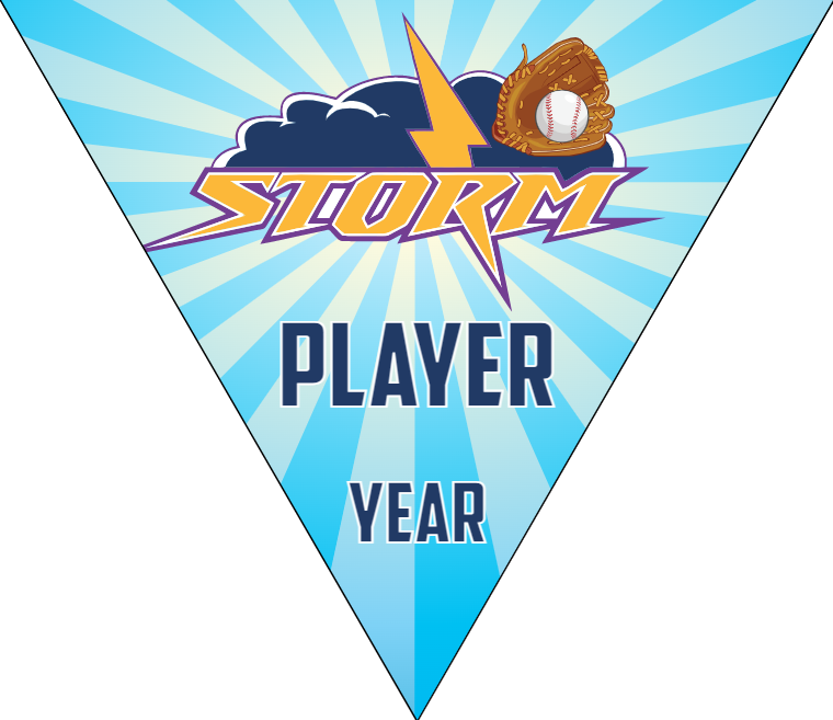 Storm - Triangle Softball Pennant – Team Sport Banners